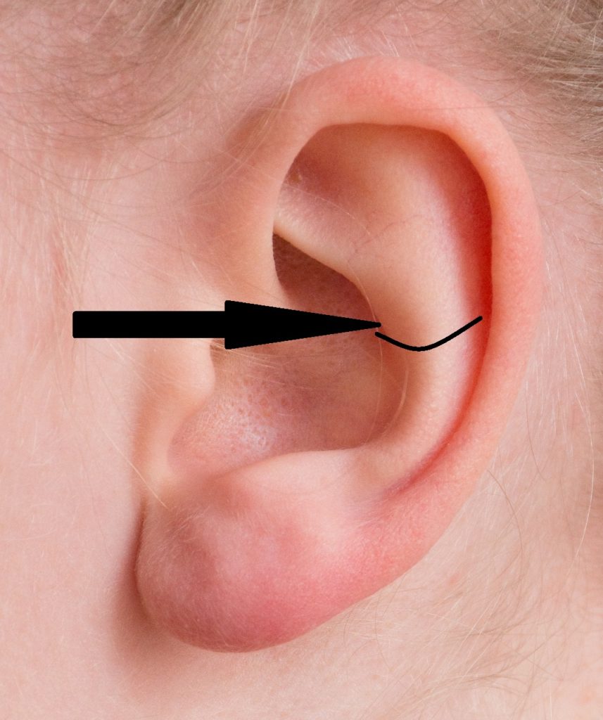 Best Cartilage Earrings Guide (With Images) | Jewelry Guide