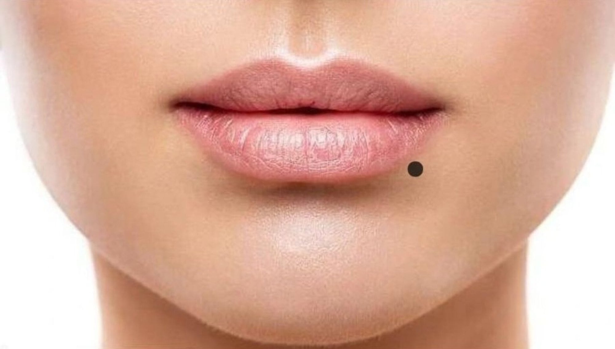Everything You Need to Know About the Labret Piercing